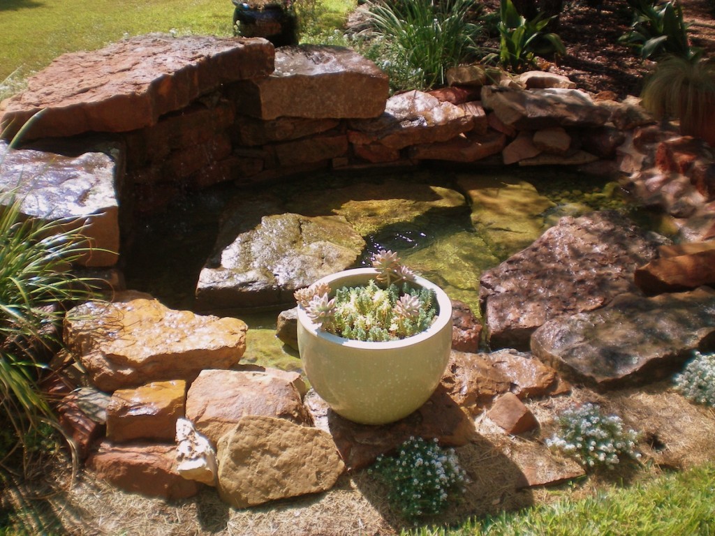 Senna Hills Bee Caves - Red Sun Landscape Design